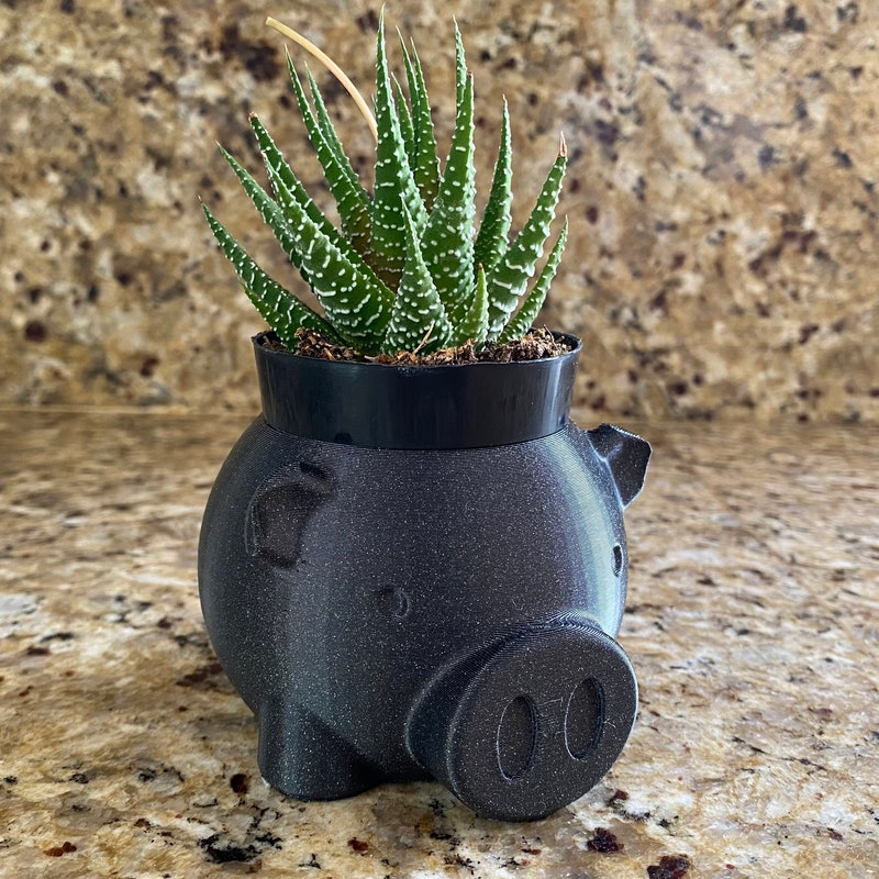 Pig Planter - Etsy