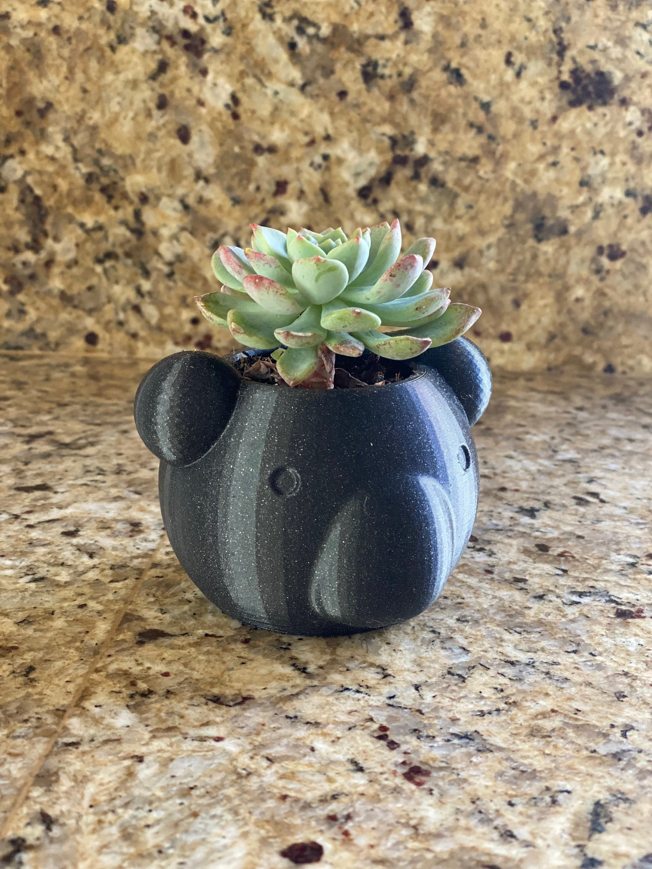 Koala Bear Planter, Animal Planter, Koala Bear, Mothers Day Gift ...