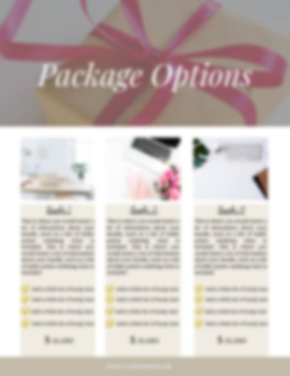 Virtual Assistant Portfolio Template - Services Guide - Etsy