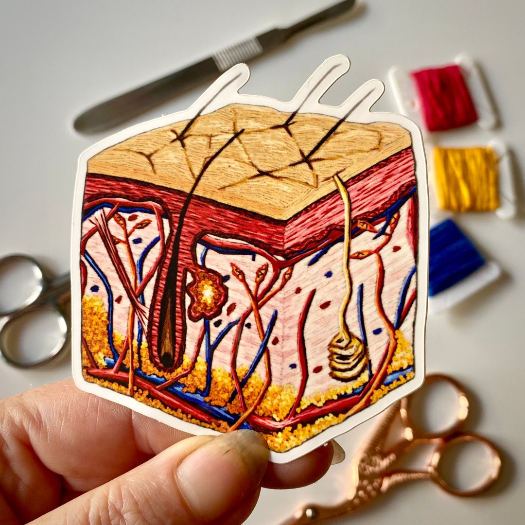 Sticker: Hand Embroidered Skin - Etsy