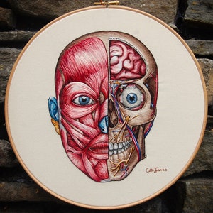 Anatomical Embroidery Art Print: Anterior Facial Anatomy - Etsy