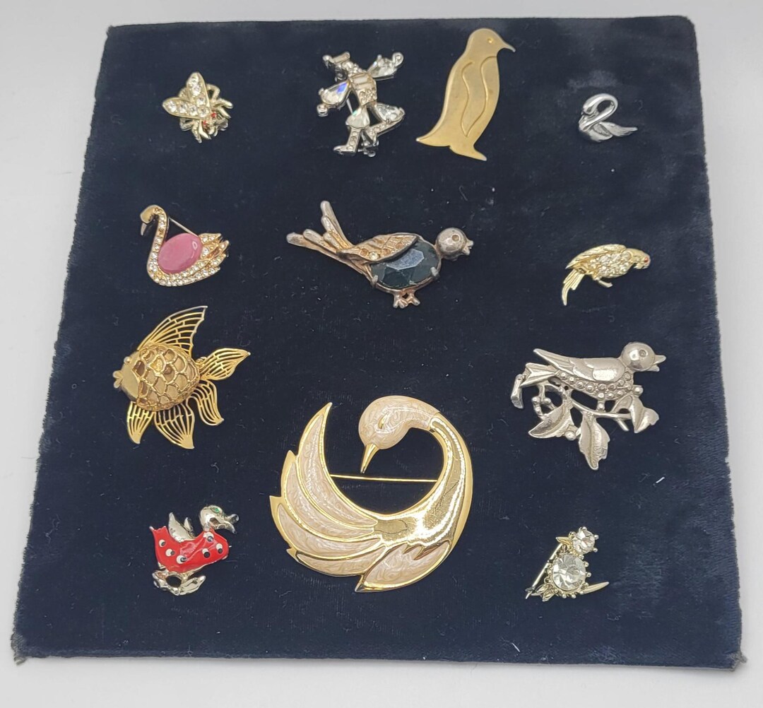 12 Piece Collection, Birds, Fish, Insects and Others, All Broaches or ...