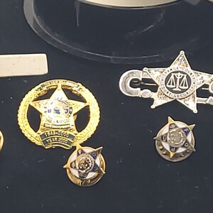 Collection of Florida Law Enforcement Pins - Etsy