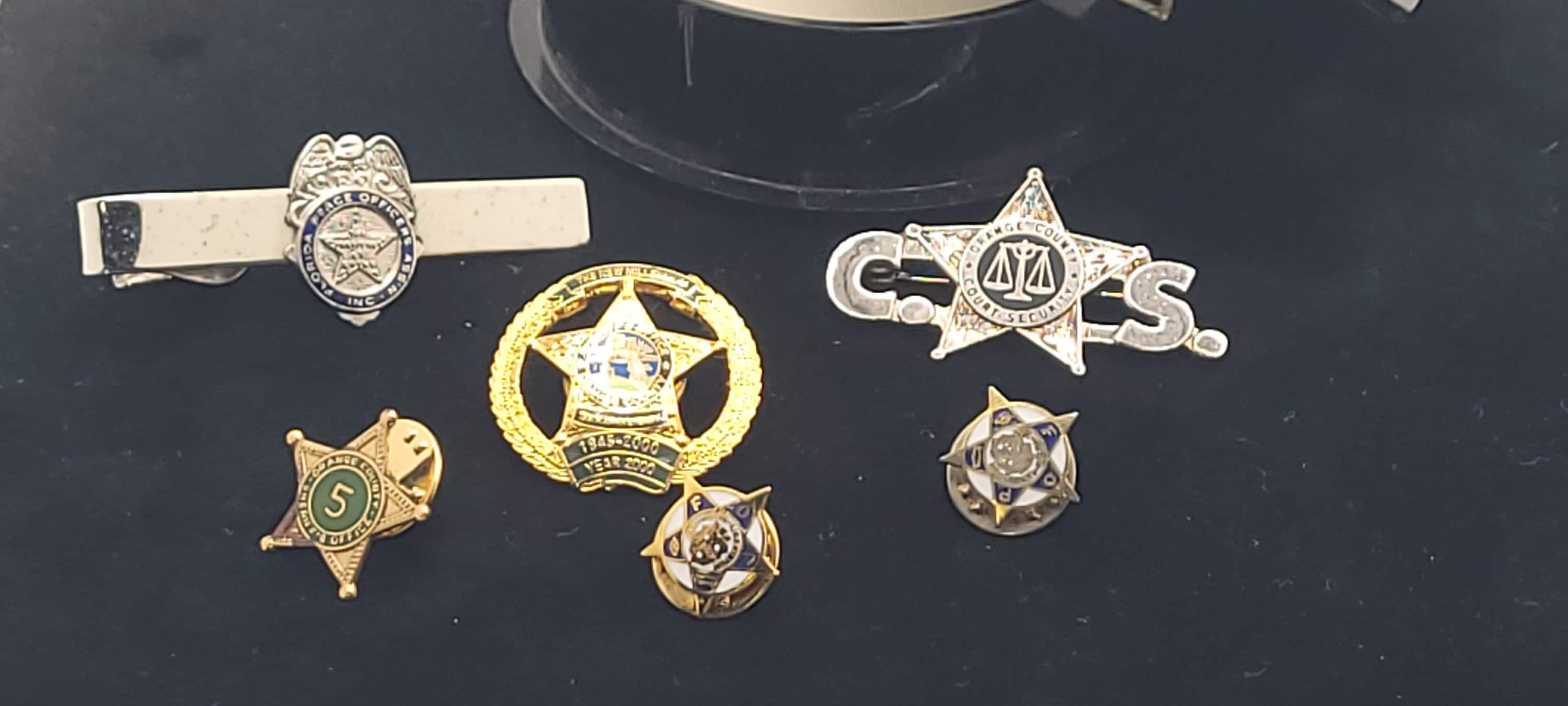 Collection of Florida Law Enforcement Pins - Etsy