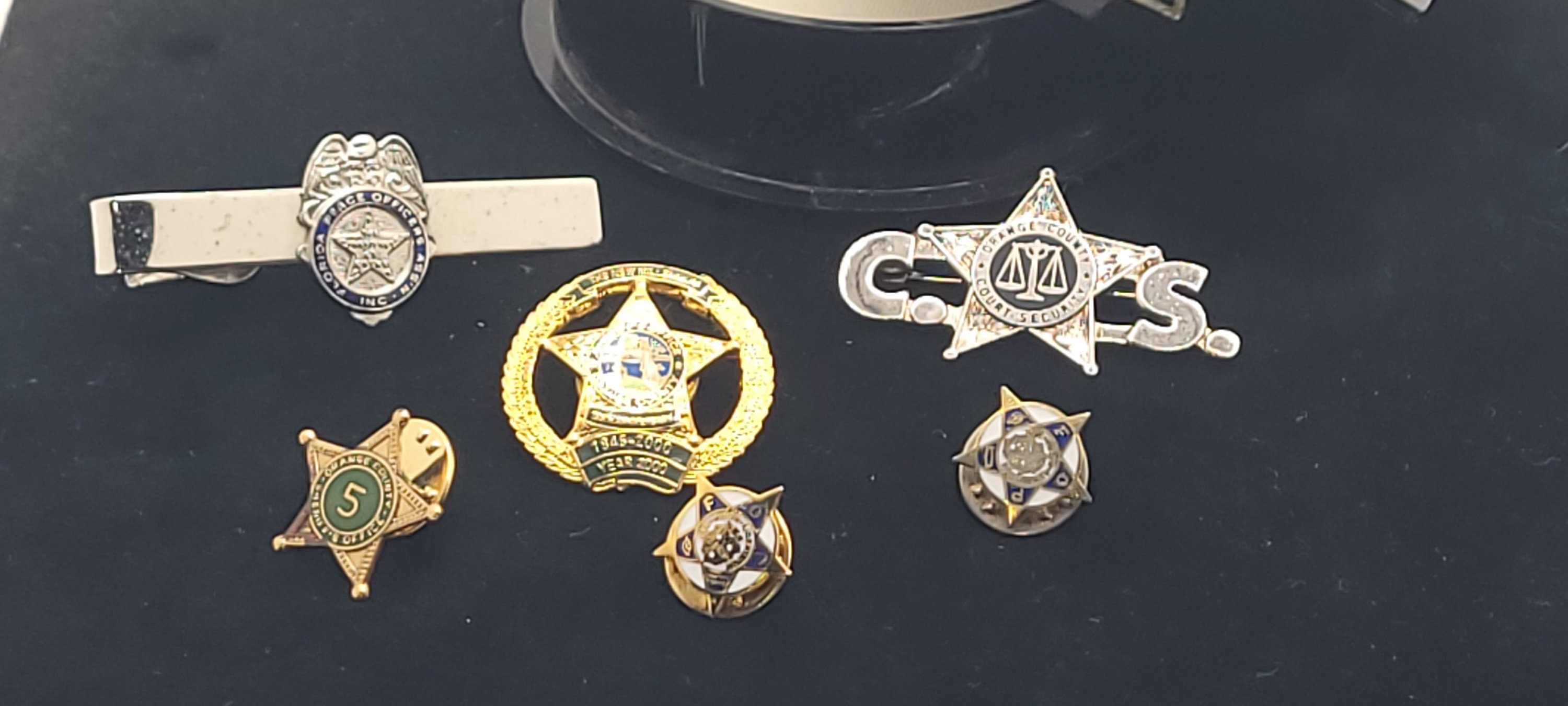 Collection of Florida Law Enforcement Pins - Etsy