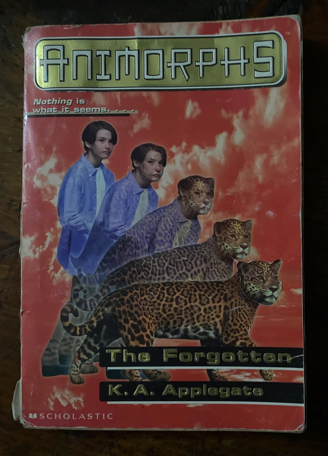Animorphs: the Forgotten - Vintage Paperback Book - Etsy