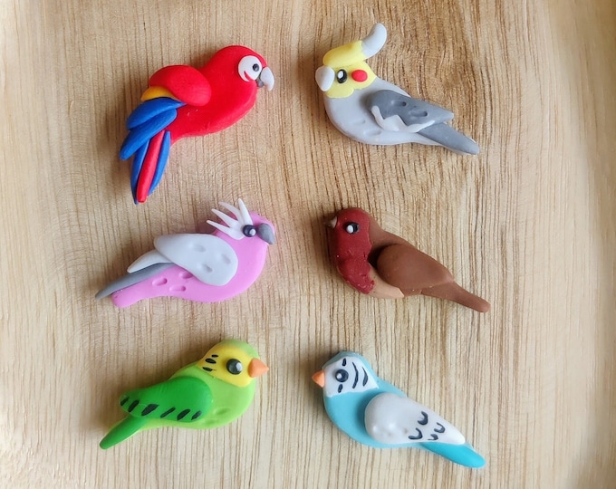 10 Pebble Magnets, Stone Note Magnets, Creative Memo Magnets, Natural ...