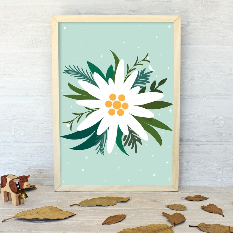 Edelweiss Wall Art - Etsy