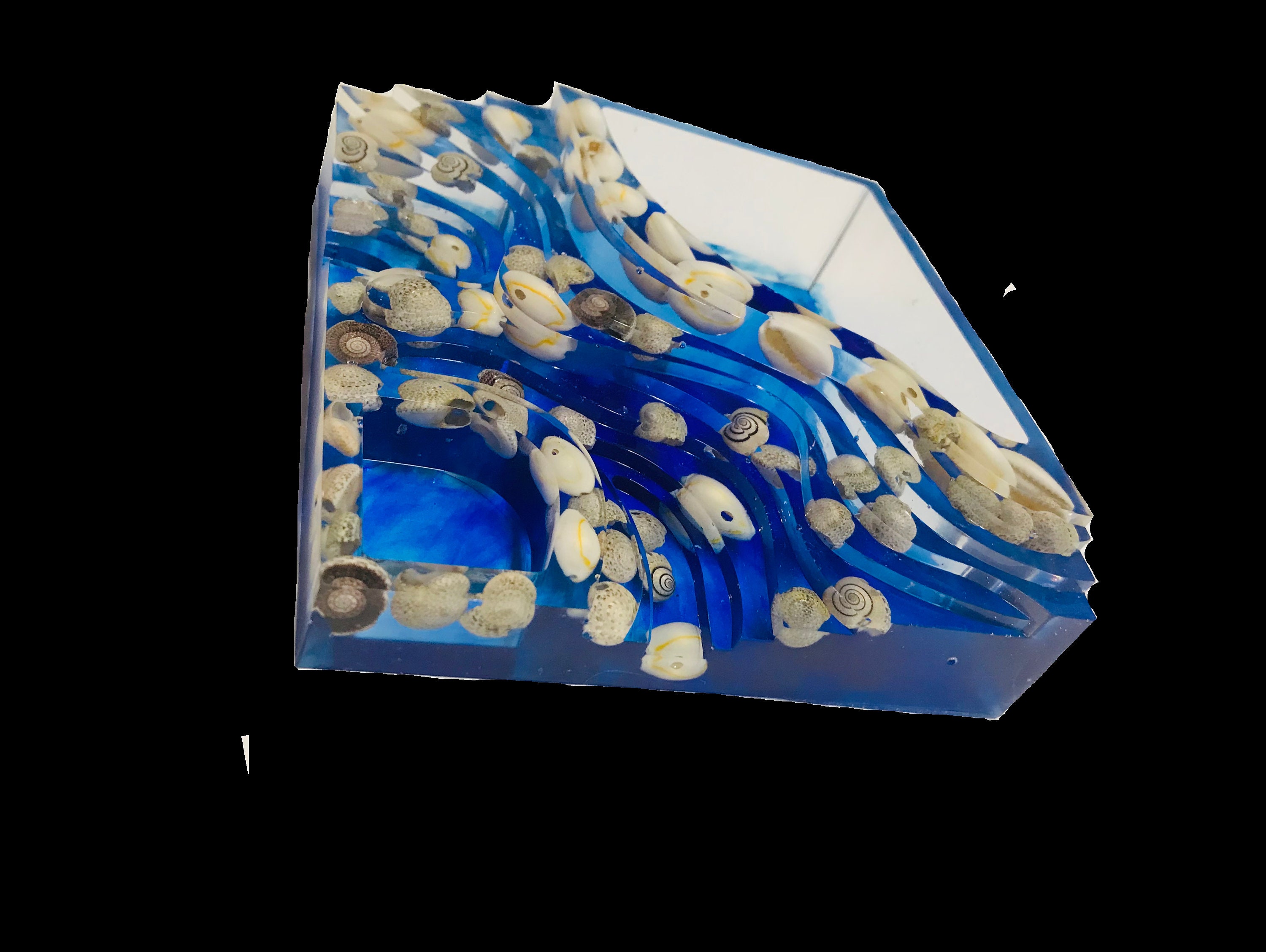 Ocean Sea Shells Beach , Desk Planter, Catchall, Desktop Organizer ...