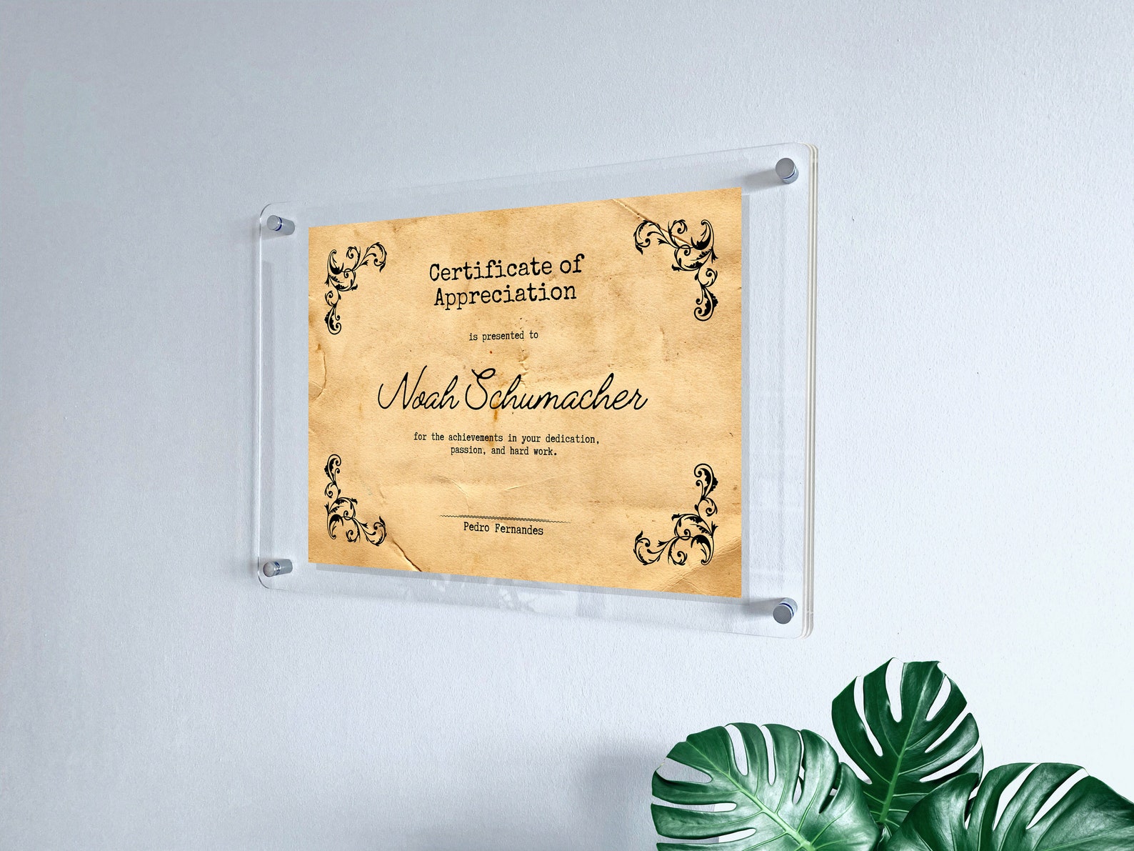 DIPLOMA FLOATING FRAME, Certificate Frame, Poster Frame, Clear Acrylic ...