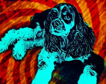 Cocker Spaniel Valentine: Adorable Cocker Spaniel Surrounded With ...