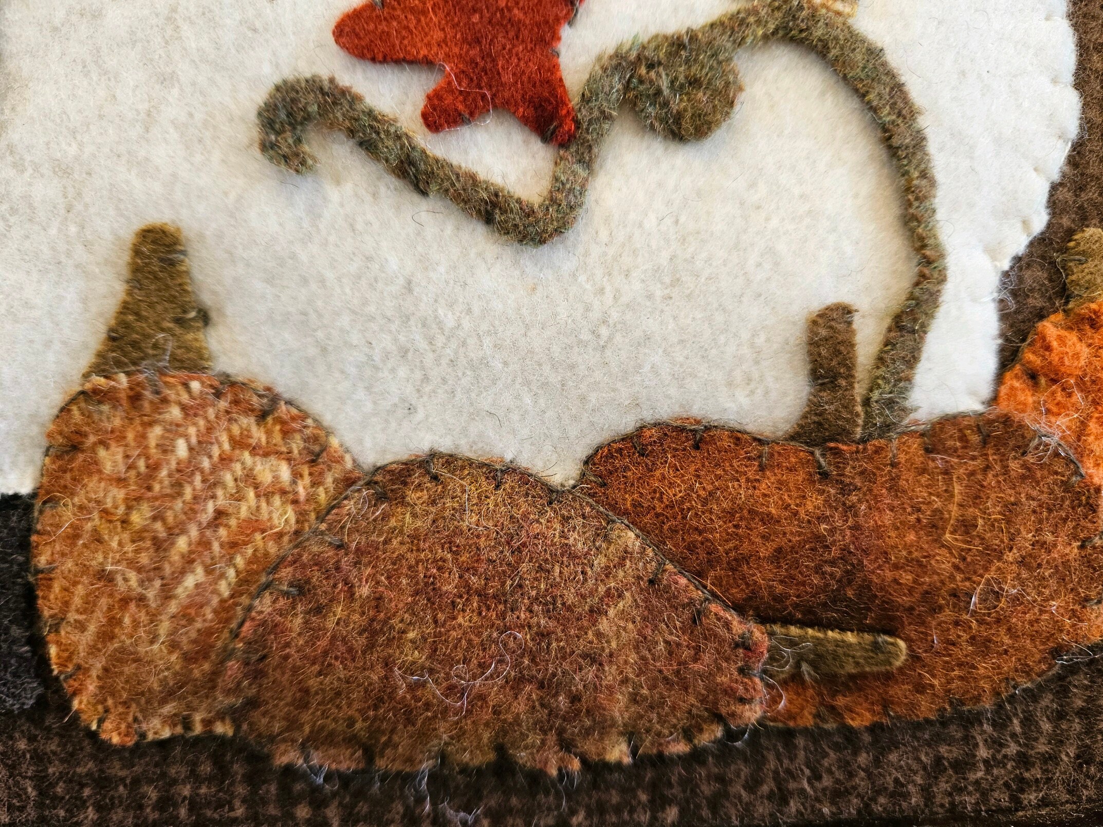 Framed, Completed, Wool Applique Best of Show by Threads That Bind ...