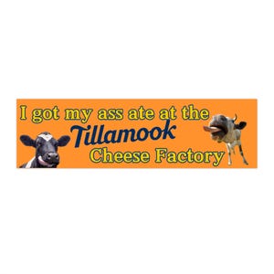 Hilarious Car Sticker Funny Silly Cows Meme Bumper Sticker, Tillamook ...