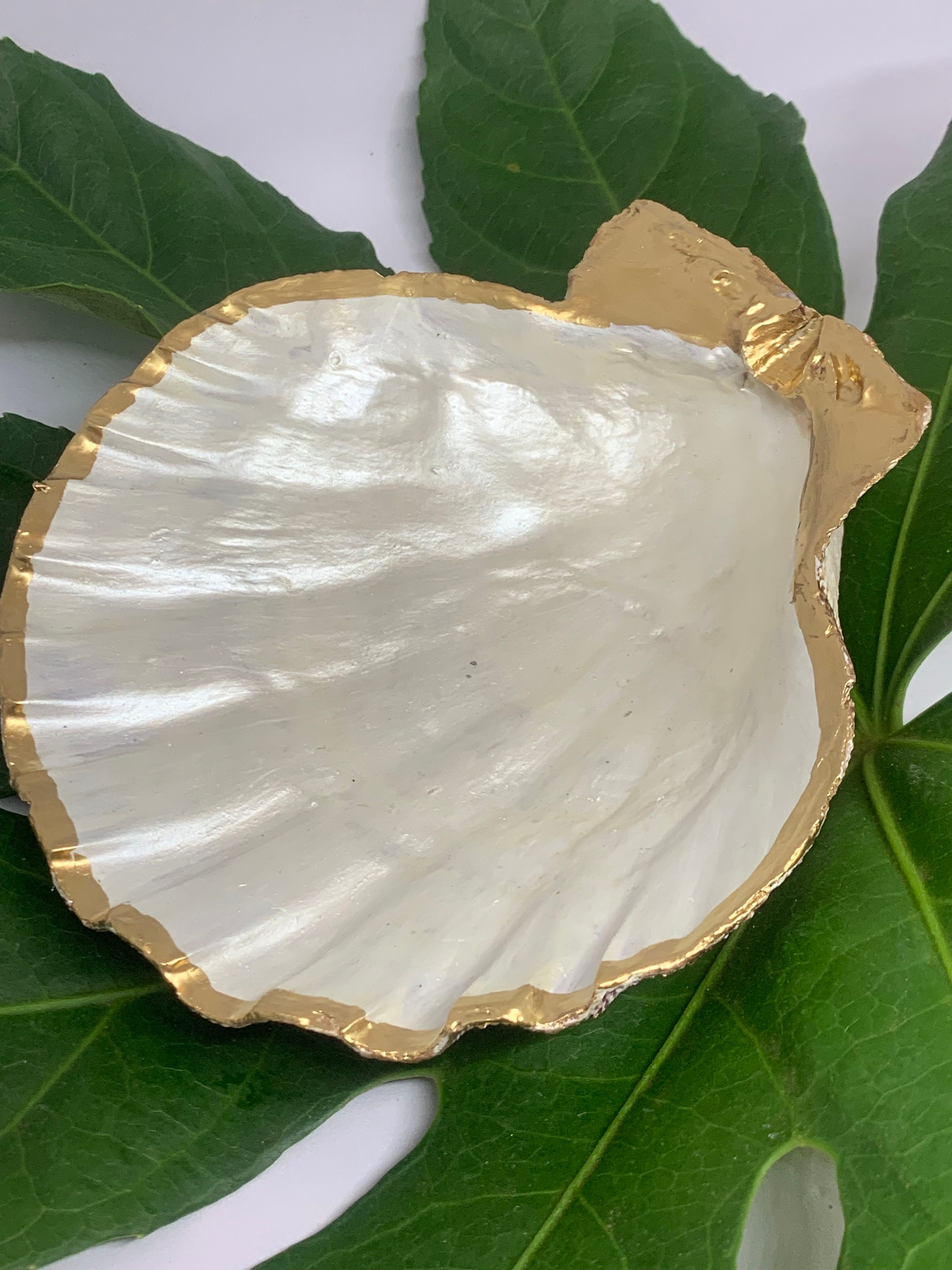 XL Gold Gilded Pearly Scallop Seashell Giant Scallop Shell - Etsy