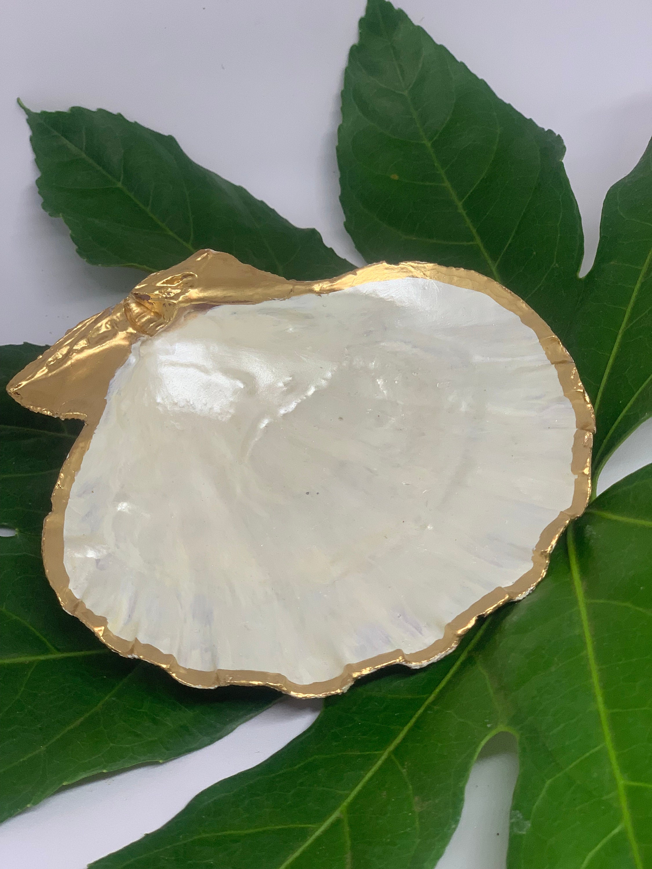 XL Gold Gilded Pearly Scallop Seashell Giant Scallop Shell - Etsy