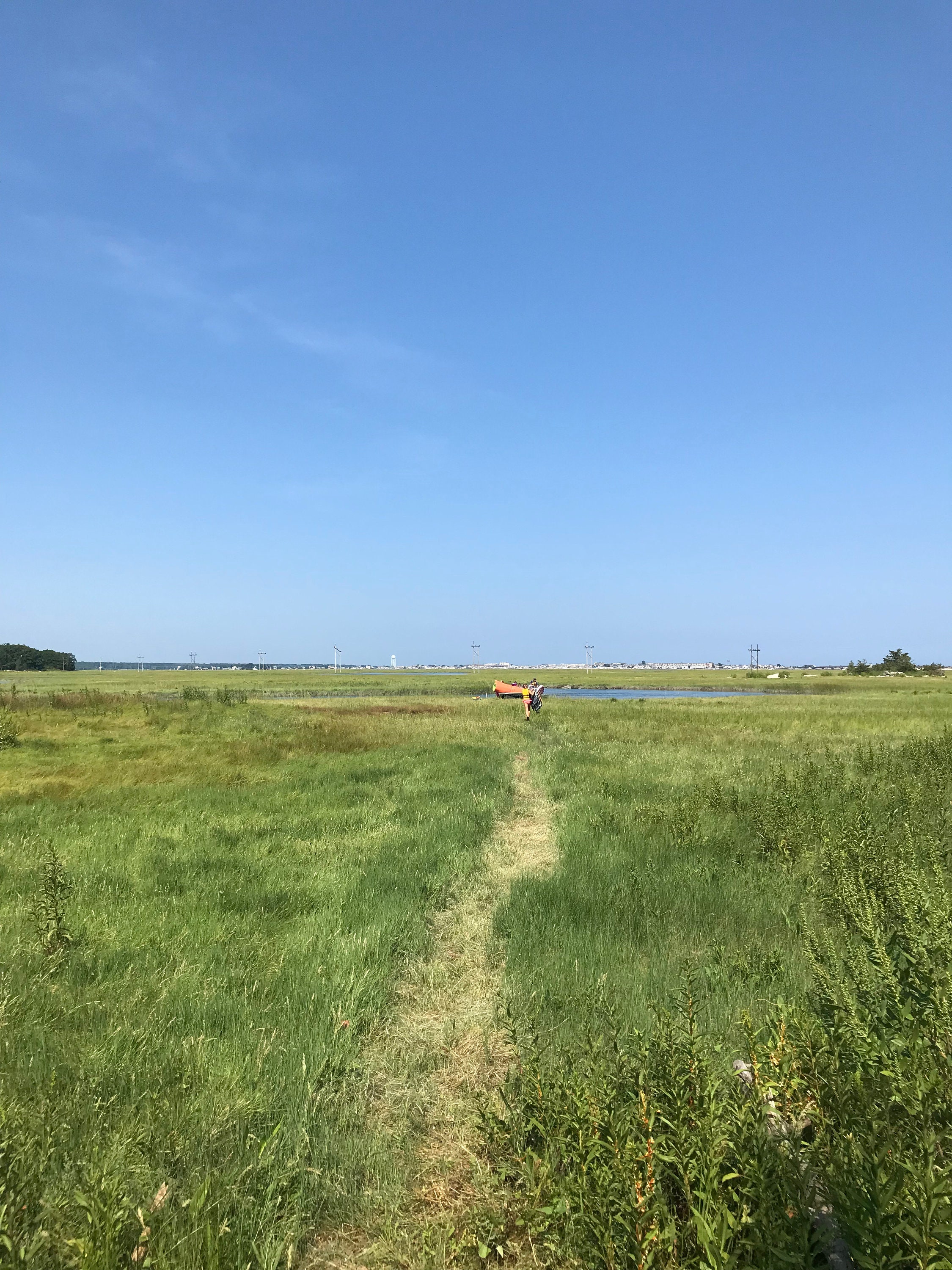 Southern Marsh Wallpaper