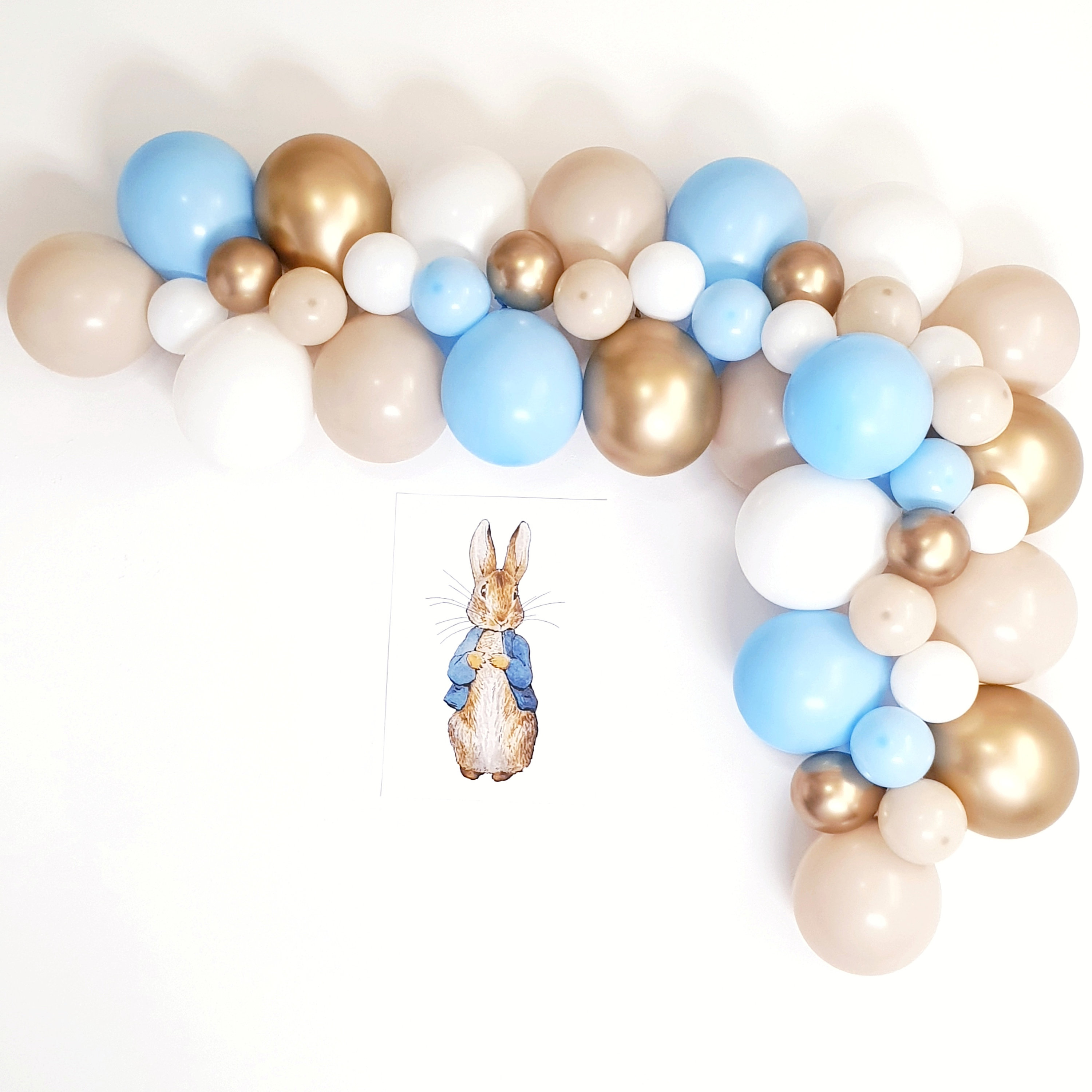 Peter Rabbit Balloon Garland, Peter Rabbit First Birthday Decorations ...