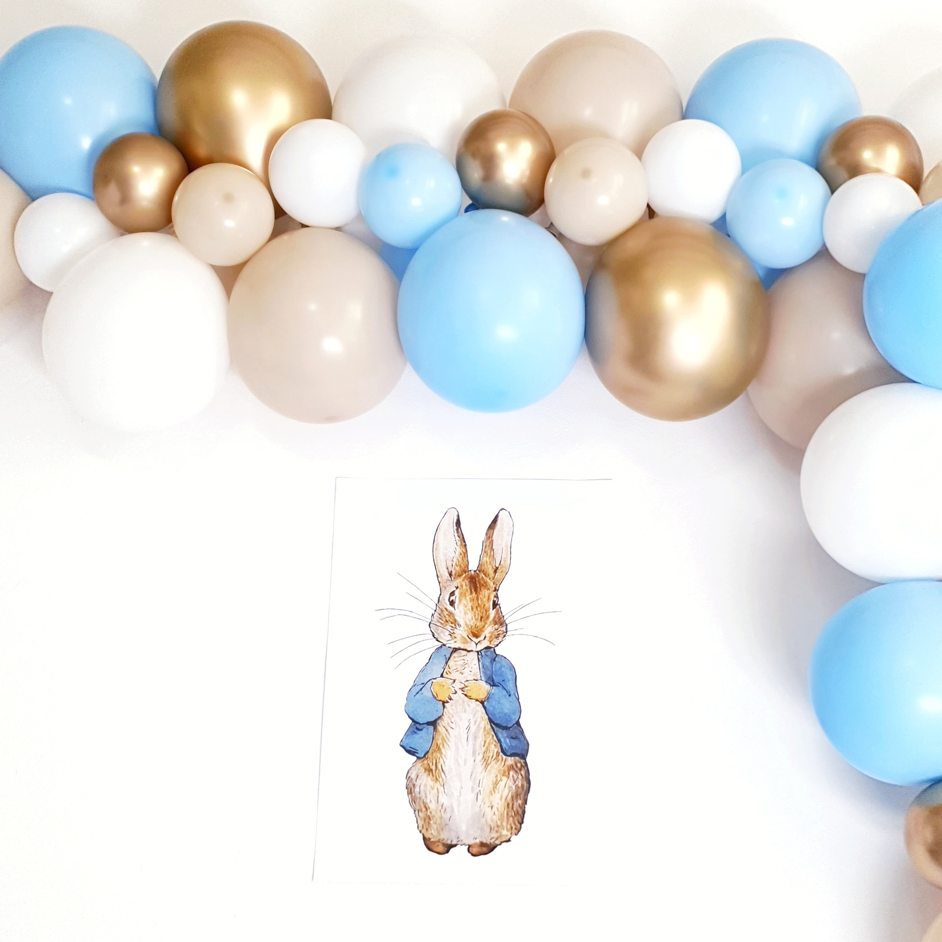 Peter Rabbit Balloon Garland, Peter Rabbit First Birthday Decorations ...