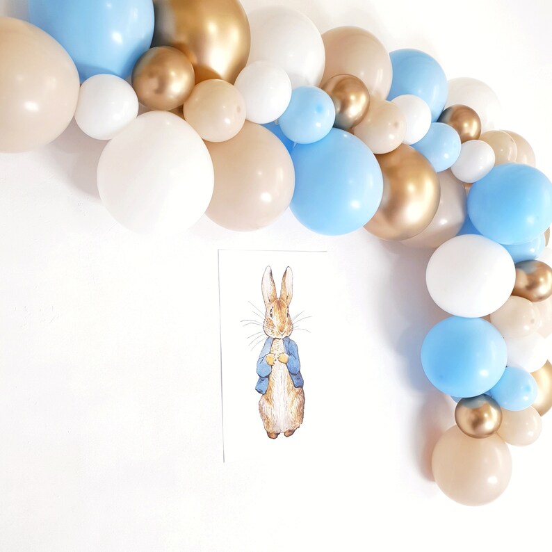 Peter Rabbit Balloon Garland Peter Rabbit First Birthday - Etsy