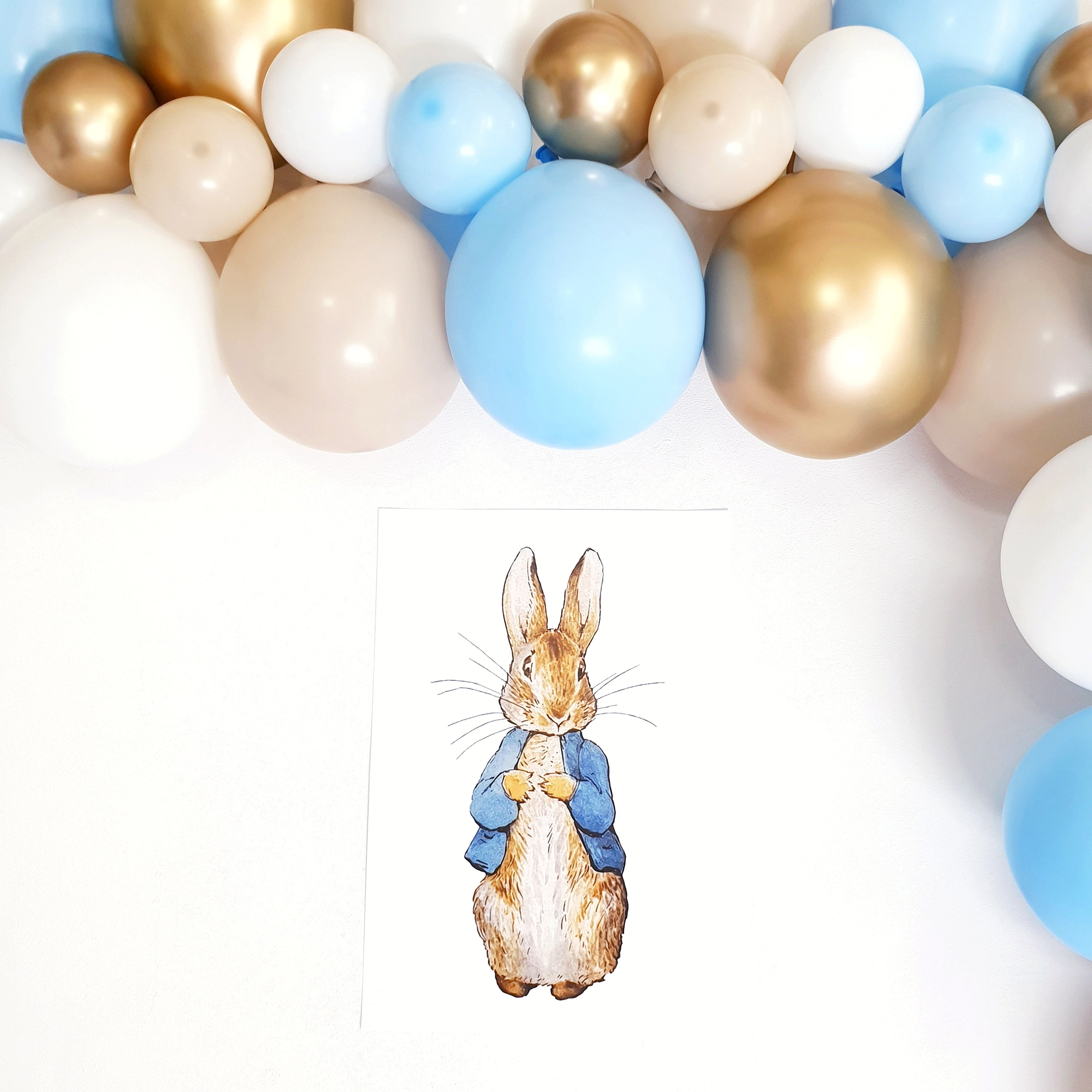 Peter Rabbit Balloon Garland, Peter Rabbit First Birthday Decorations ...