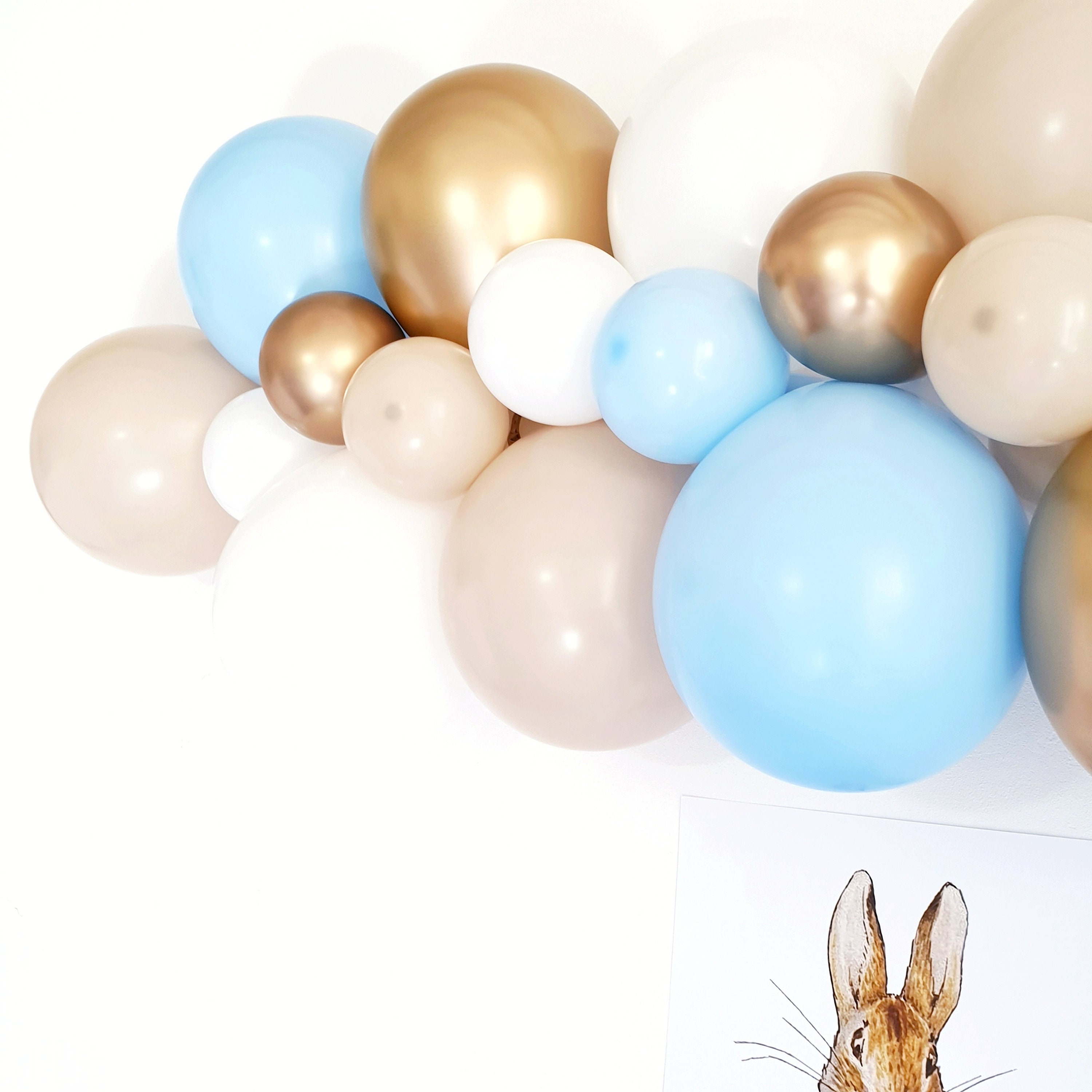 Peter Rabbit Balloon Garland, Peter Rabbit First Birthday Decorations ...