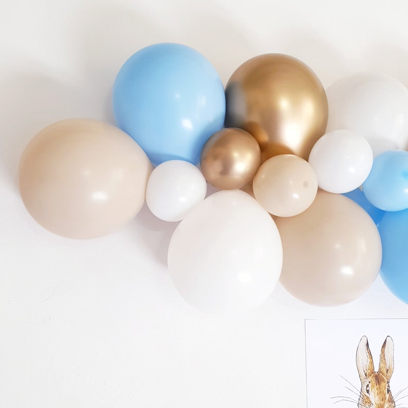 Peter Rabbit Balloon Garland, Peter Rabbit First Birthday Decorations ...
