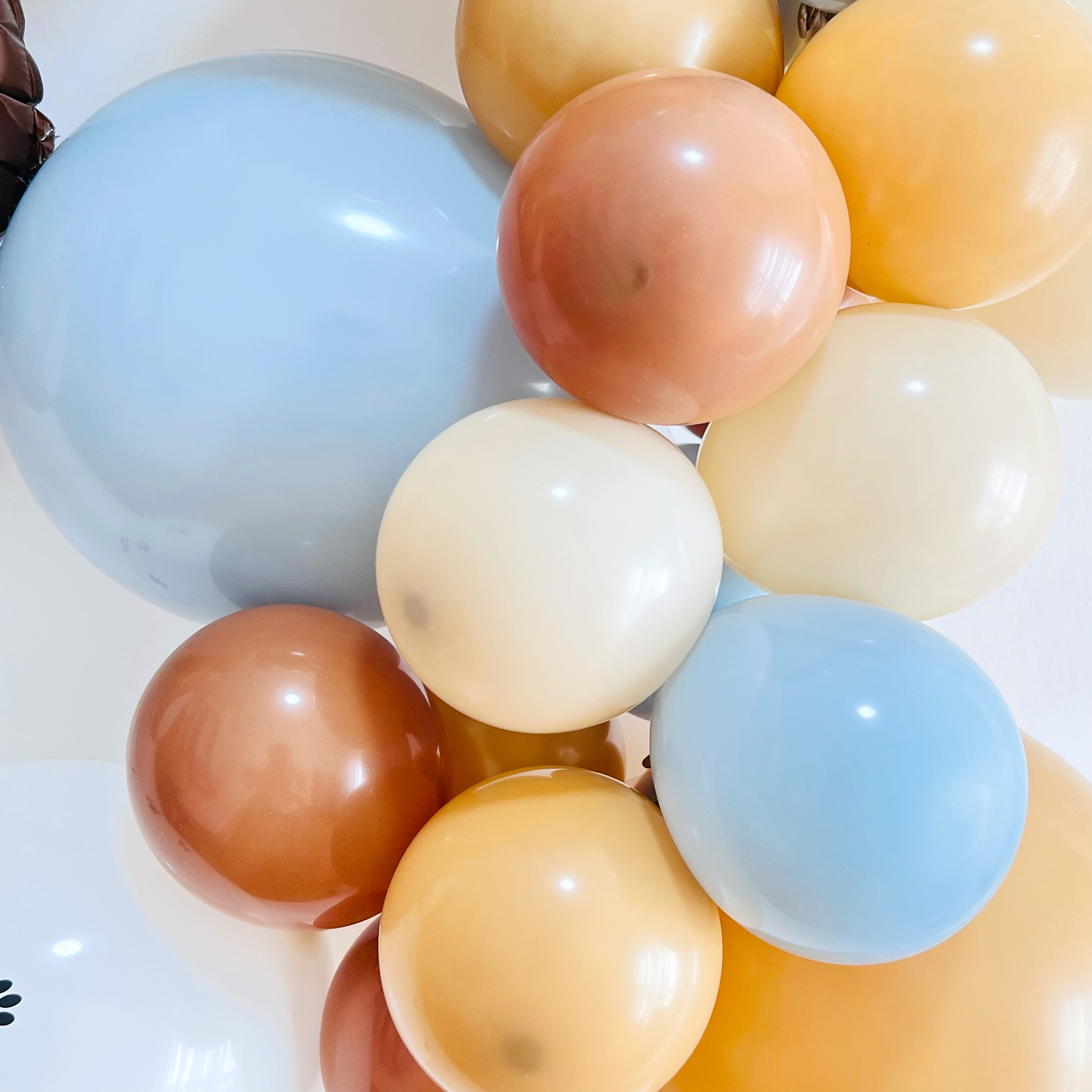 Puppy Balloon Garland, Puppy Birthday Decorations, Puppy Themed ...