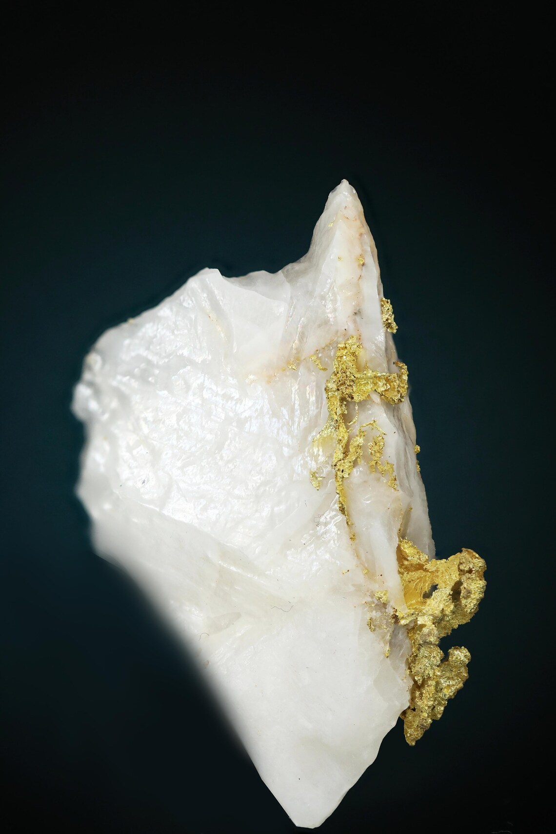 Native Gold Leaf Crystals on Calcite Matrix Natural Gold Specimen - El ...