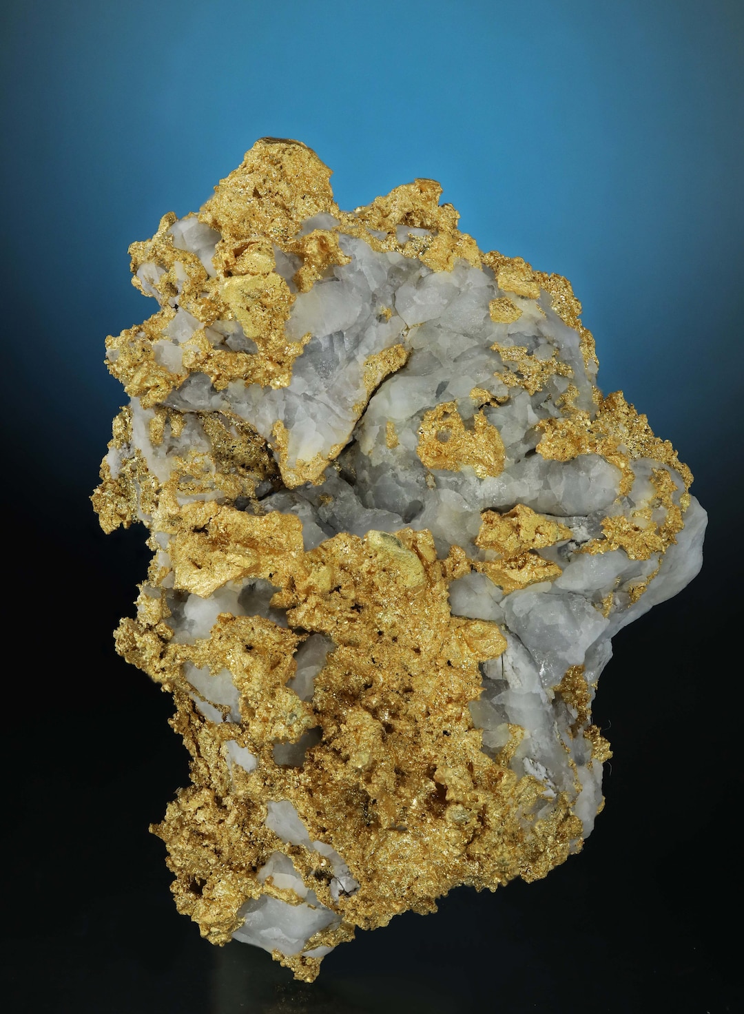 Crystallized Gold on Quartz Matrix Robust Natural Gold Specimen Dense ...