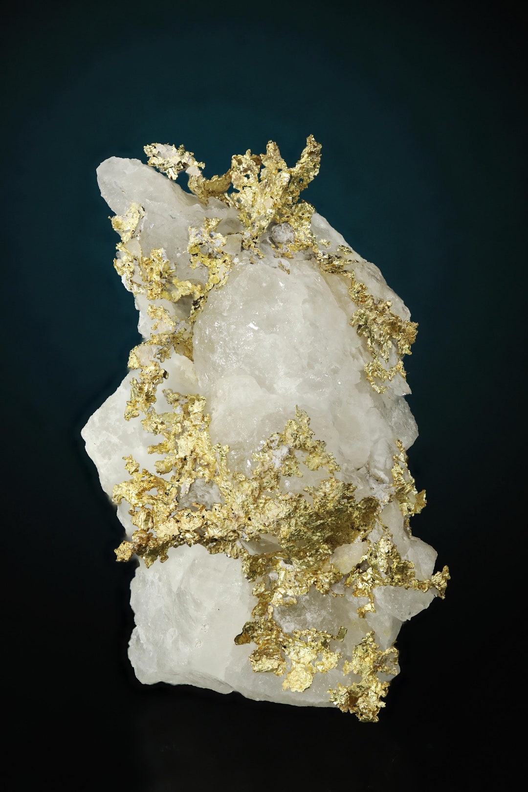 Crystallized Gold Leaf on Quartz - Oriental Mine, Sierra County ...