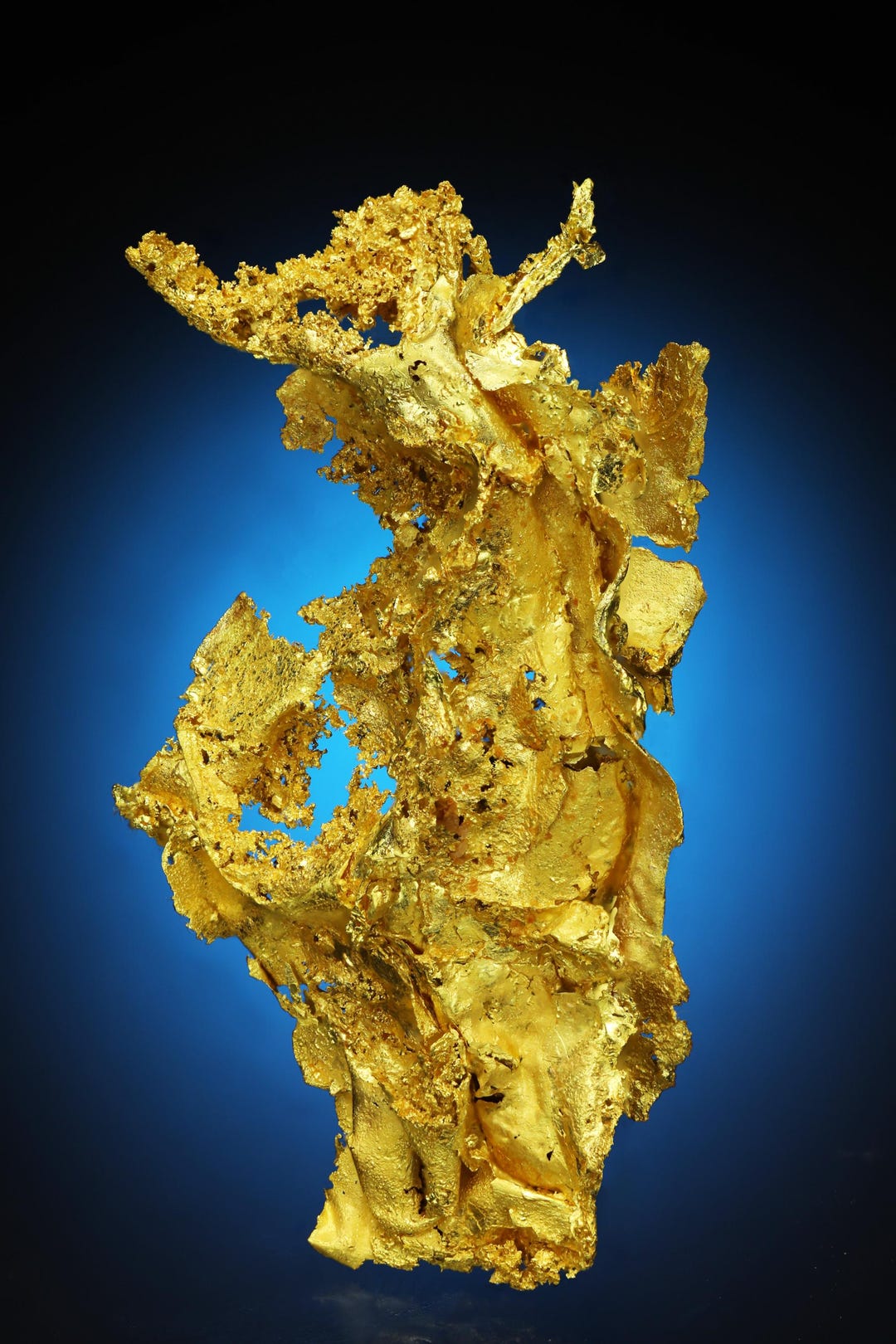 Crystalized Leaf Gold - Folsom Mining District, Sacramento, California ...