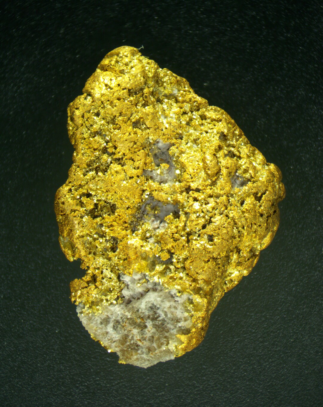 Sponge Gold Cluster Manhattan Mine, Manhattan Mining District, Toquima ...