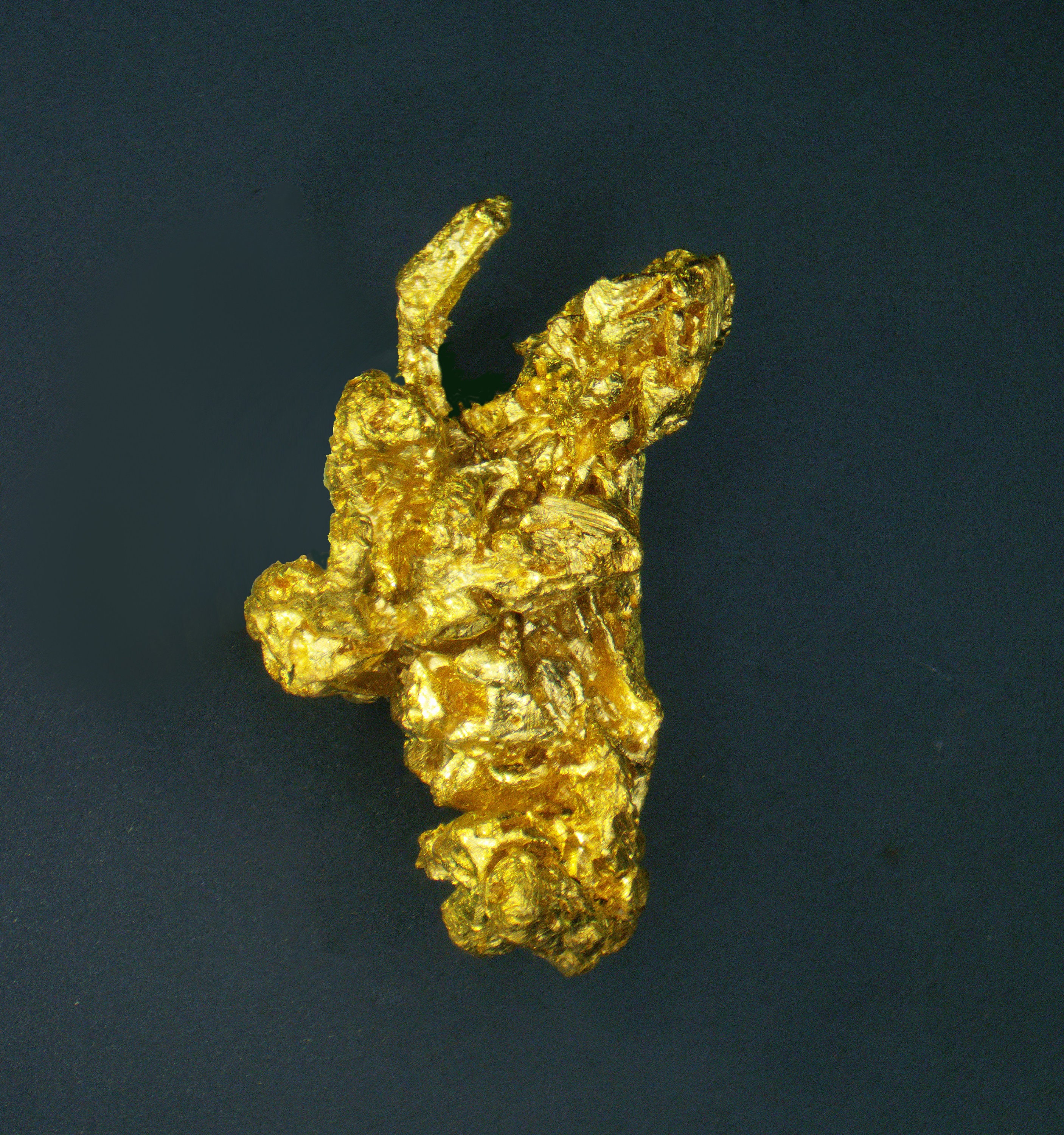 Wire Gold Nugget Collection