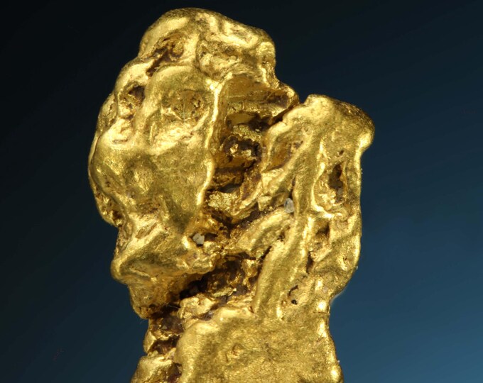 Gold Nugget Natural Gold Nugget Specimen - Caborca Municipality, Sonora ...