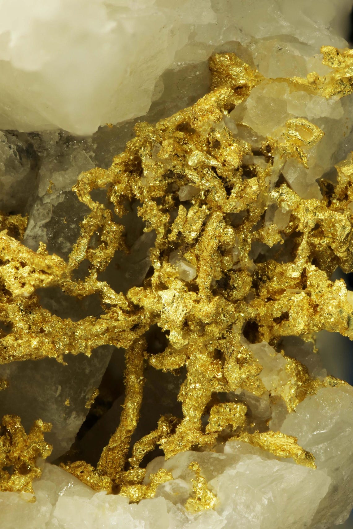 Native Gold on Quartz Gold Wire Crystals - Belshazzar Mine, quartzburg ...