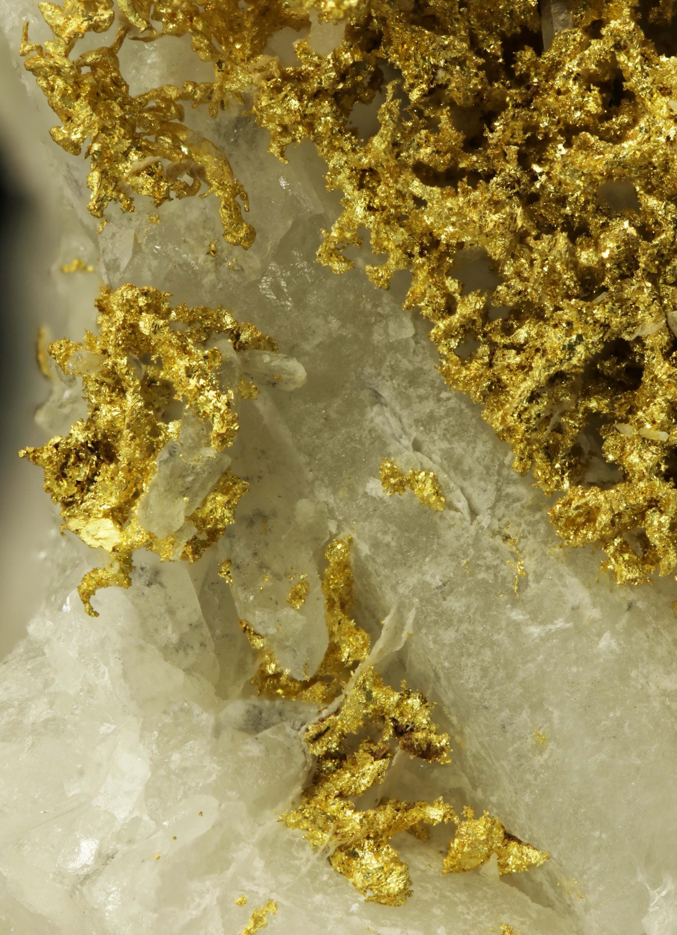 Native Gold on Quartz Gold Wire Crystals - Belshazzar Mine, quartzburg ...