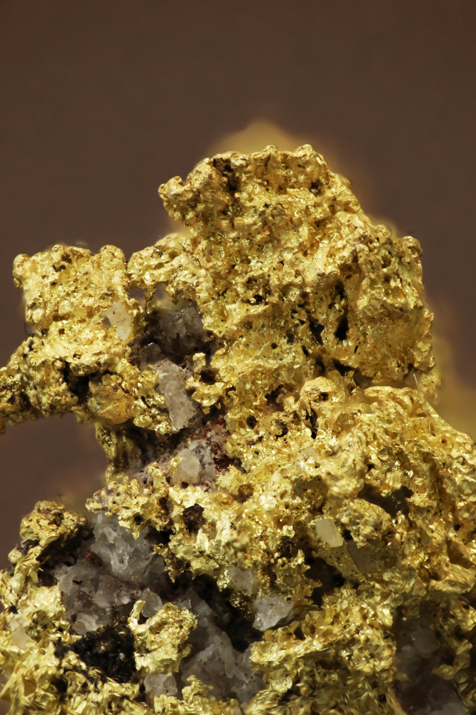 Oro nativo cristalizado robusto de alta pureza sobre matriz de cuarzo ...