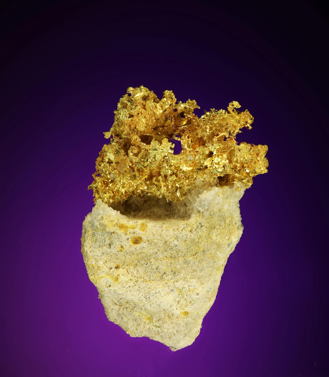 Native Gold Crystals on Quartz Matrix - Round Mountain Mine, Nye County ...