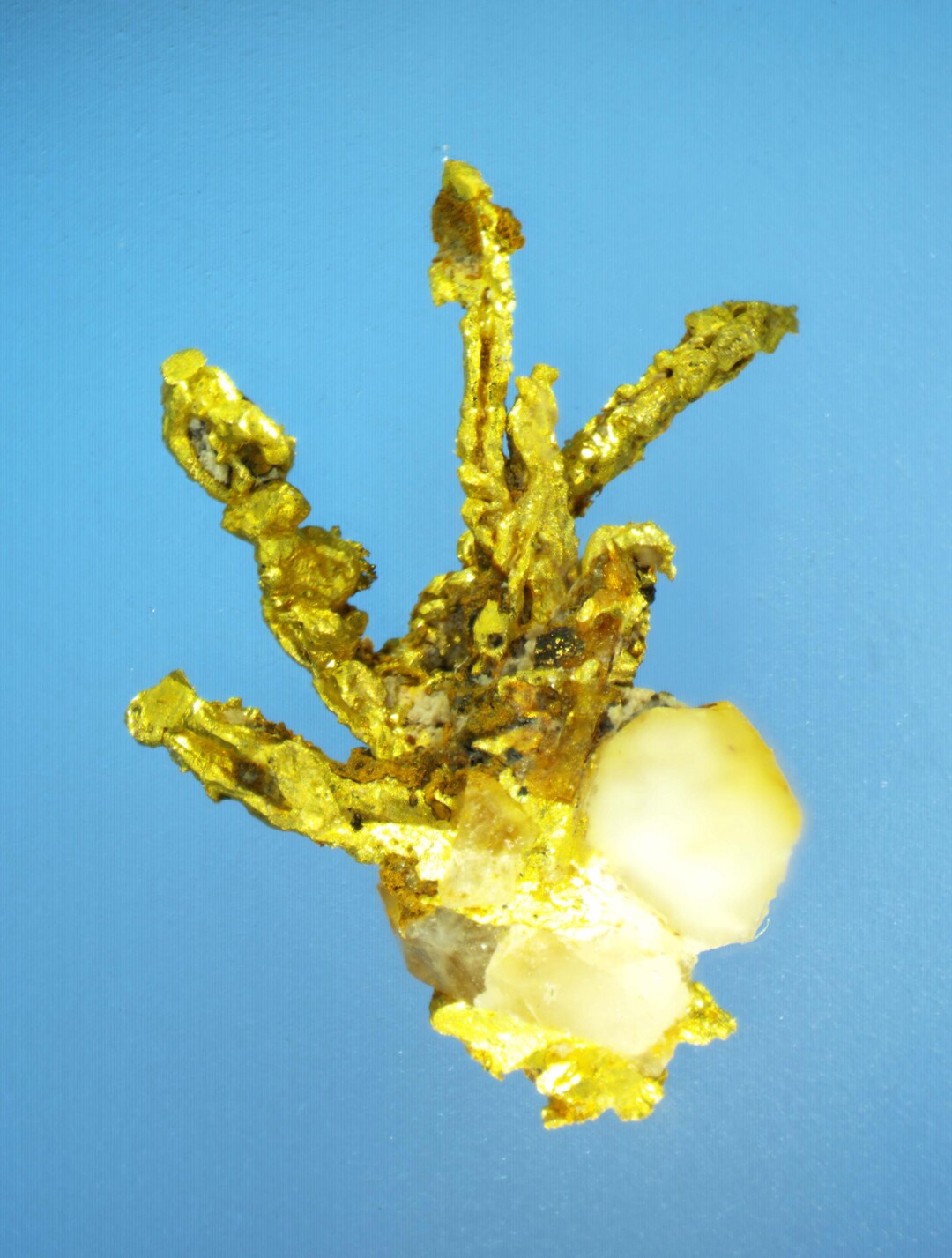 Wire Gold Crystal on Quartz Matrix Folsom District, Sacramento County ...