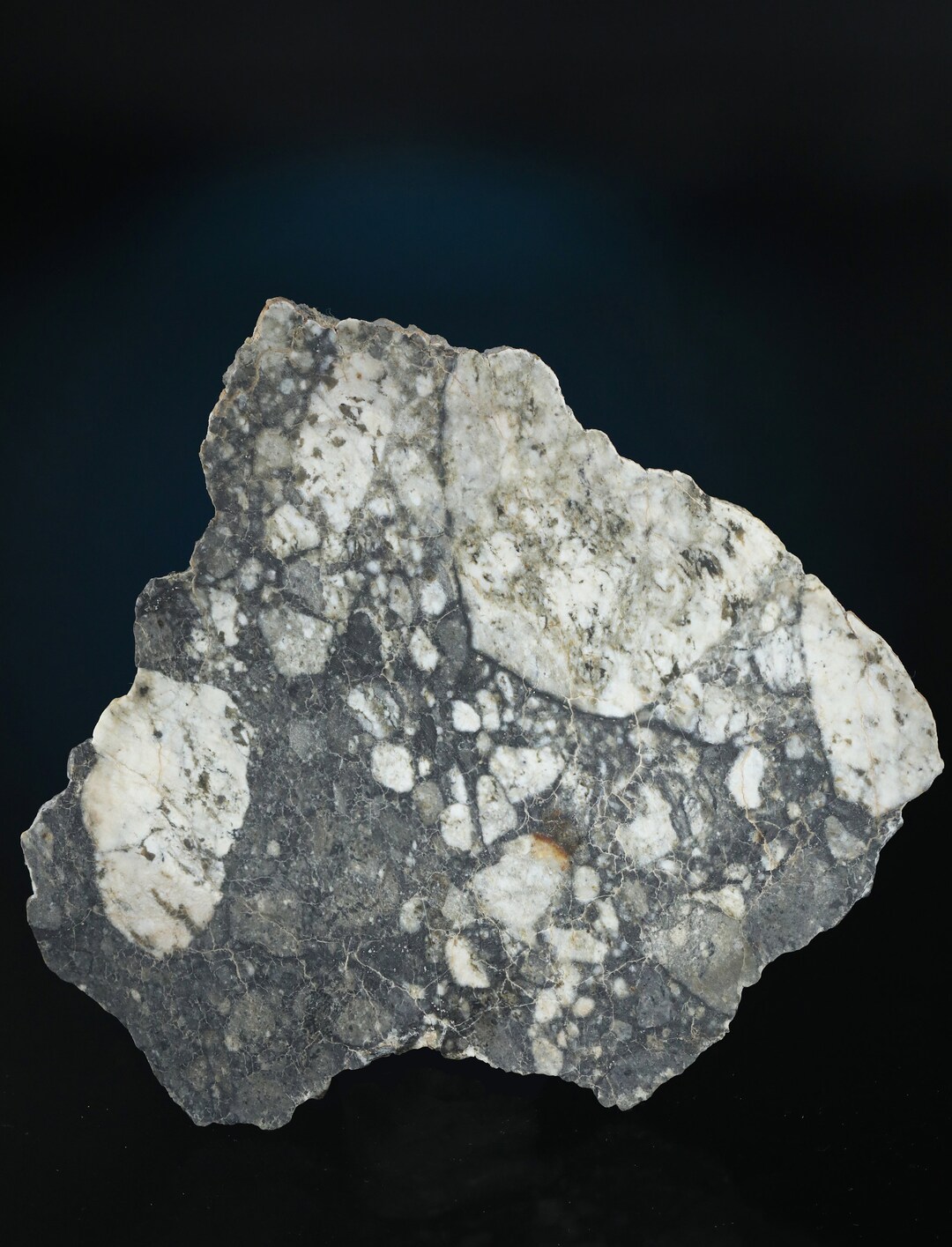 Touat 005 - Complete Slice of a Lunar Meteorite, Feldspathic Breccia - Etsy