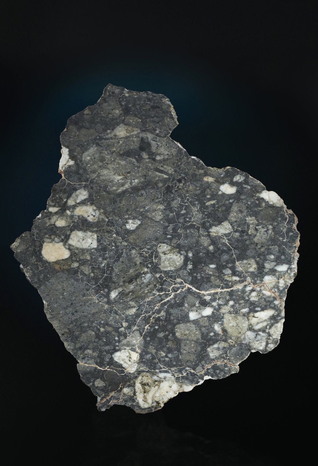 Moon Rock Slice Touat 005 - Complete Slice of a Authentic Natural Lunar ...