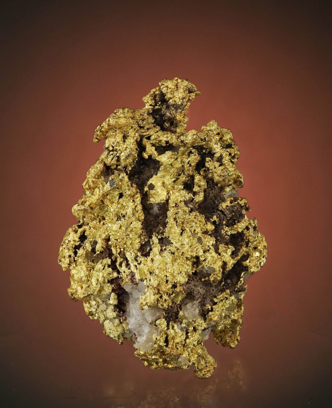 Crystallized Robust High Purity Native Gold on Dark Quartz Matrix ...