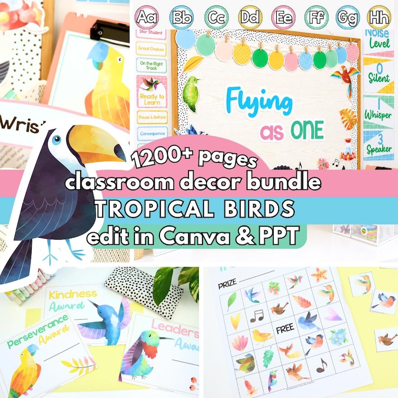 Tropical Birds Classroom Decor Bundle, Editable Bulletin Board, Back to ...