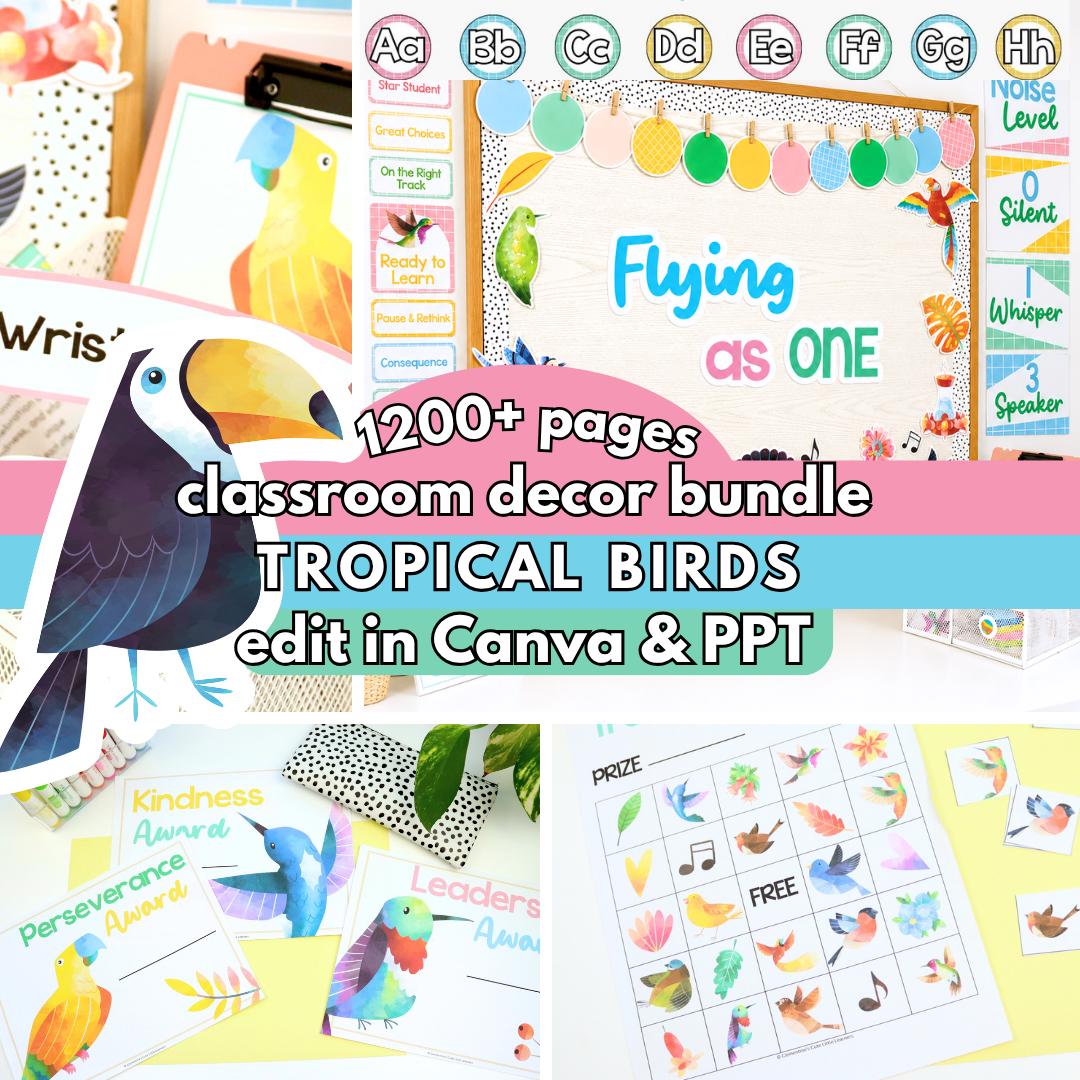 Tropical Birds Classroom Decor Bundle, Editable Bulletin Board, Back to ...