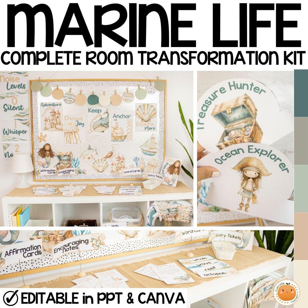 Marine Life Room Transformation, Bulletin Board, Back to School ...