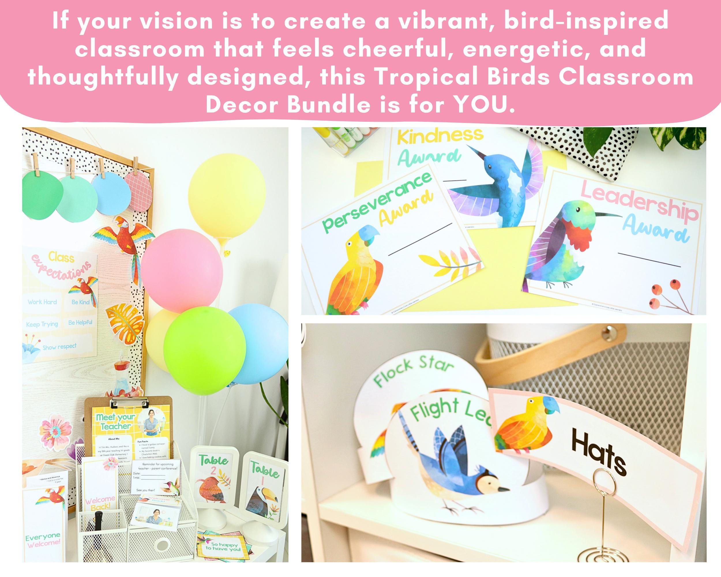 Tropical Birds Classroom Decor Bundle, Editable Bulletin Board, Back to ...