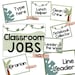 Jungle Safari Classroom Jobs Display, Editable, Perfect for Bulletin ...