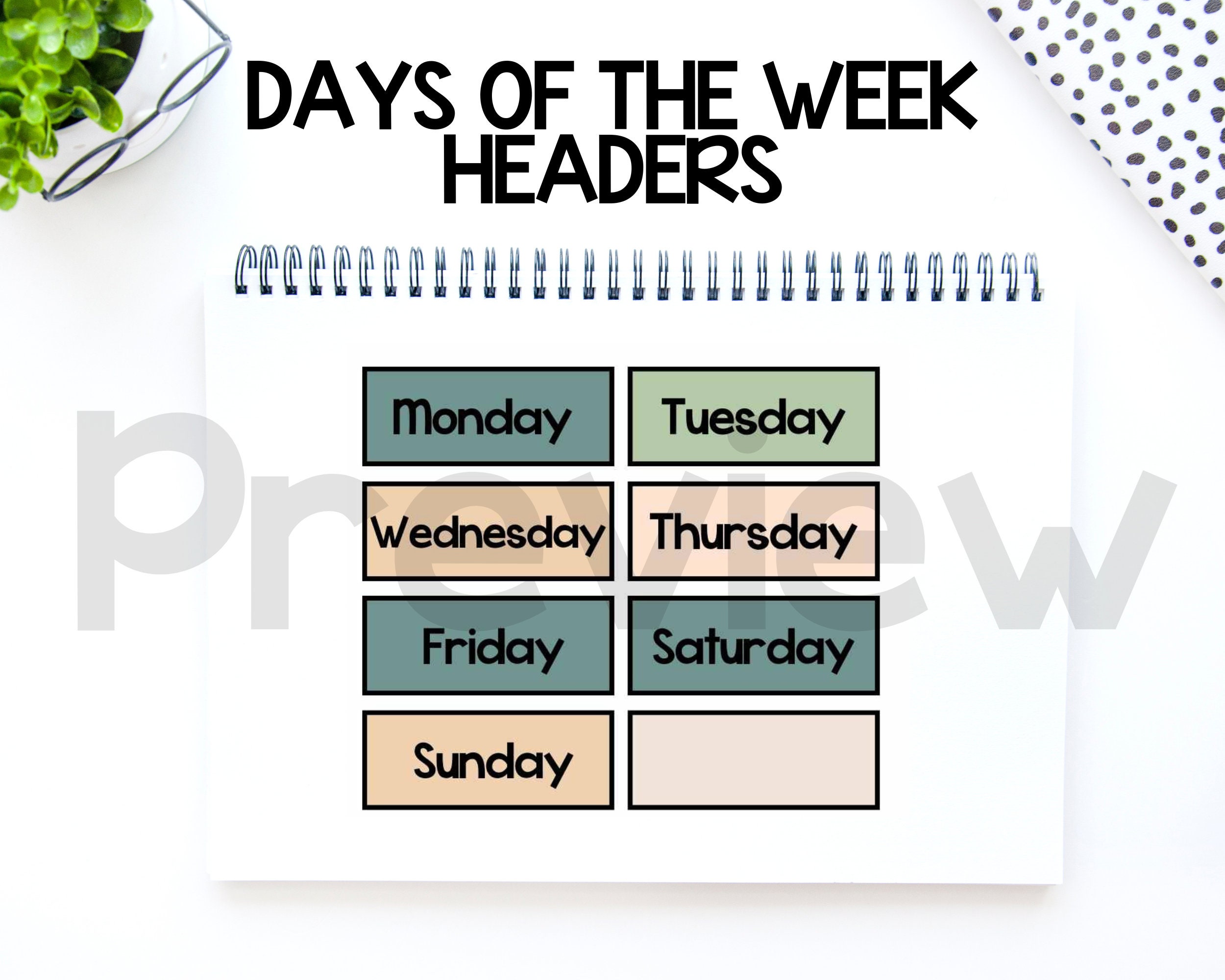 Classroom Calendar - Jungle Safari Themed Back to School Bulletin Board ...