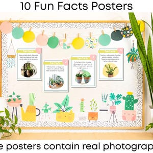 Urban Garden Room Transformation, Bulletin Board, Back to School ...