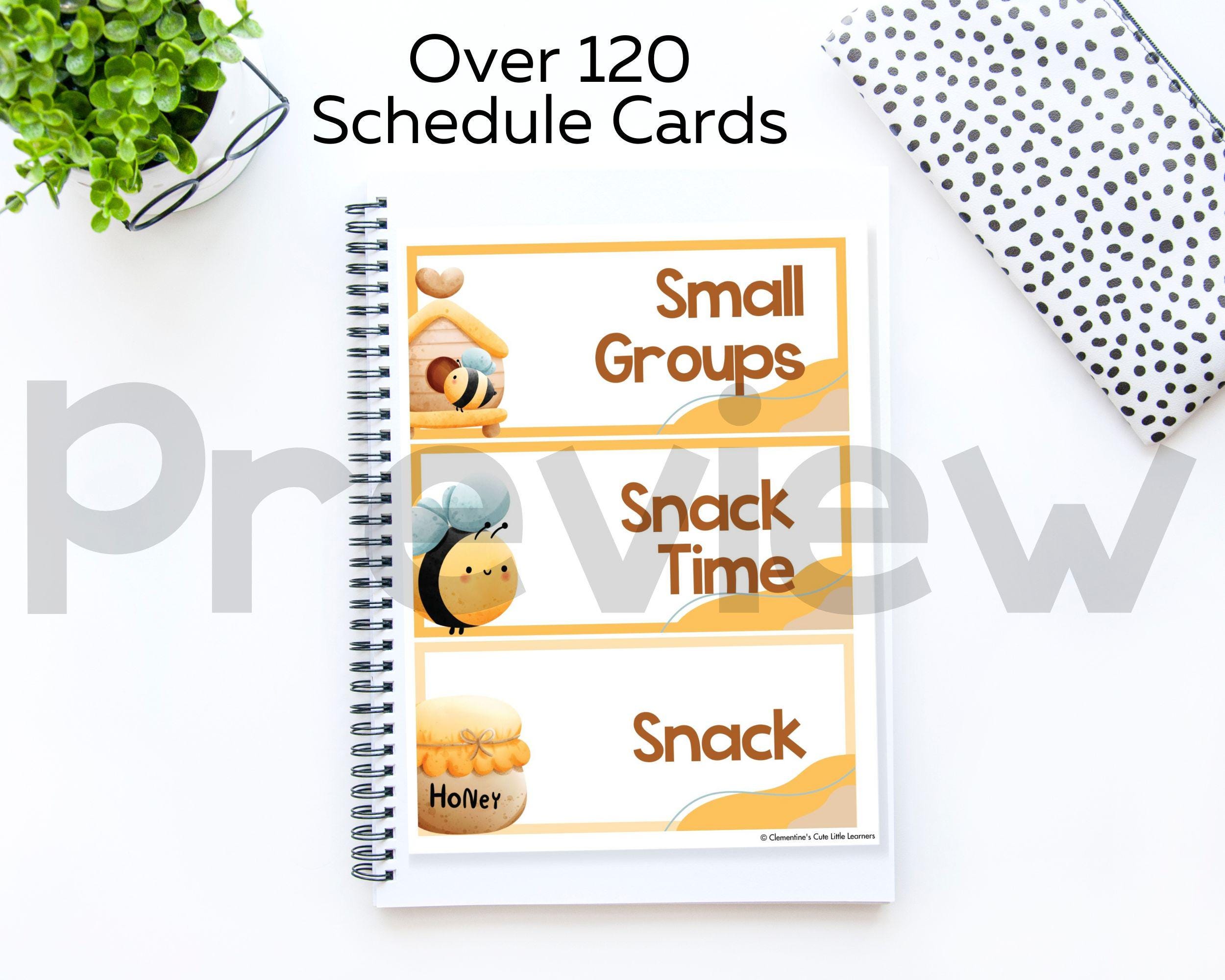 Busy Bee Classroom Schedule Cards | Editable Daily Display Set for Back ...
